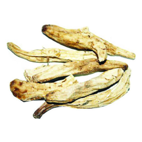 WHITE BEHEN - RAD INTERNATIONAL